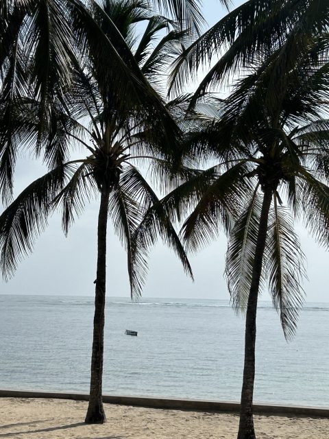 Apa, florile, Soarele | FrecventaOm