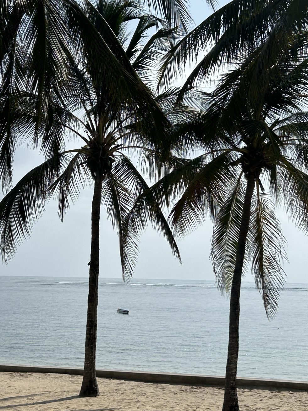 Apa, florile, Soarele | FrecventaOm